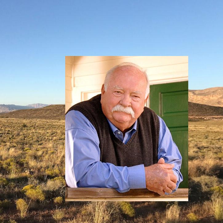 wilford brimley electric horseman