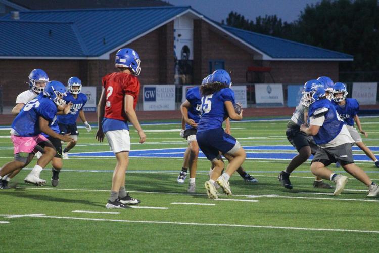 Region 9 football: Veteran coaches Monkres, Berry expect Dixie to ...