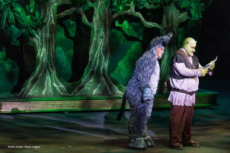 Review: Fireworks, ‘freaks’ and Fiona highlight ‘Shrek: The Musical ...