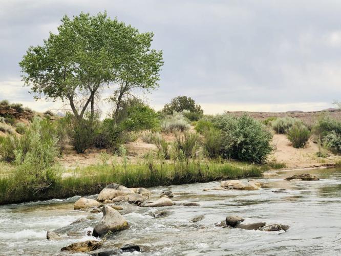 ‘It’s not a 275-home subdivision’; The Nature Conservancy purchases ...