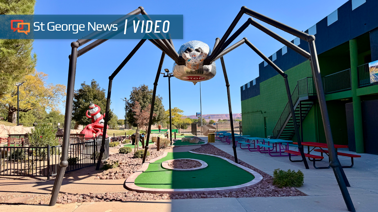Creepy, crawly and controversial: St. George spider spins its way onto ...
