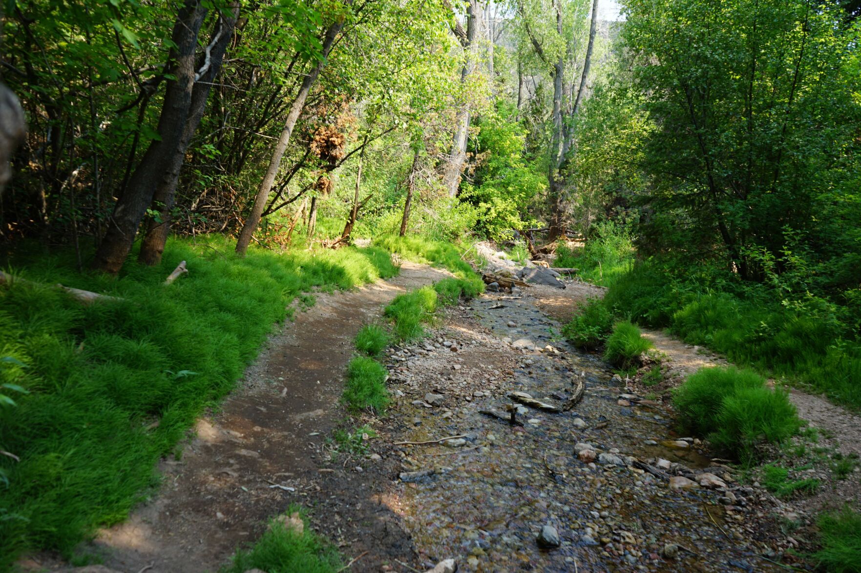Bill intended to boost forest, watershed health clears Utah Legislature ...