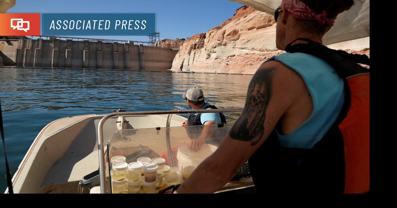 ‘It’s pretty devastating’: Biologists discover invasive smallmouth bass ...