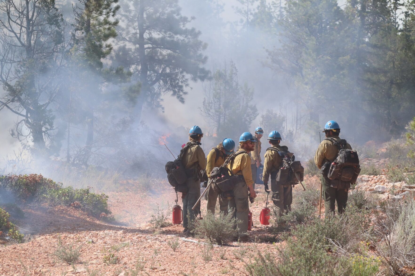 France Canyon Fire at nearly 33,000 acres as crews increase containment ...