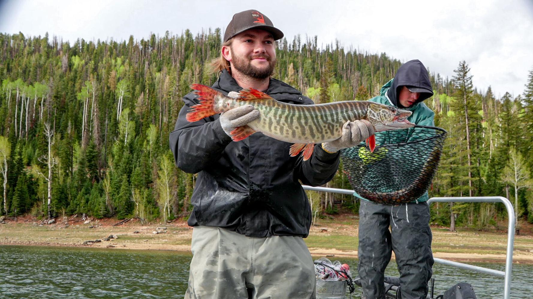 Biologist: Spring survey at Navajo Lake reveals success of carnivorous ...
