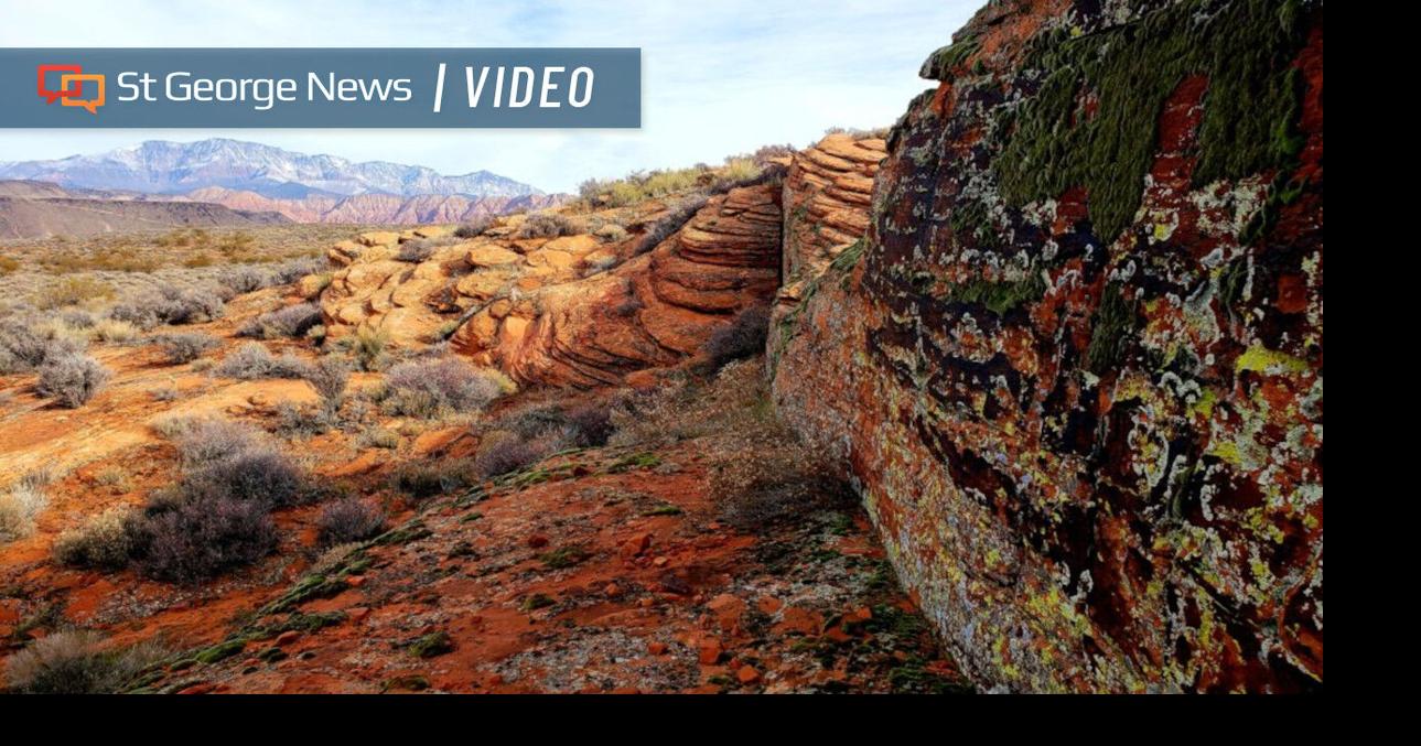 Experience desert critters and biodiversity during Latino Conservation ...