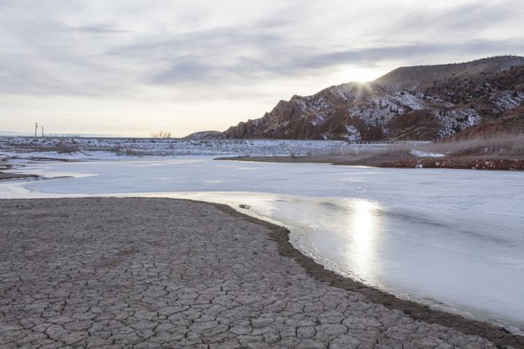 Ogle a gaggle of migrating geese during the 2025 Delta Snow Goose ...