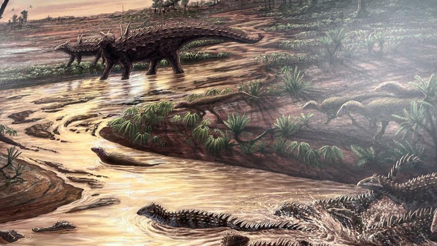 Prehistoric fish fossil unearthed at Zion National Park | Local News ...