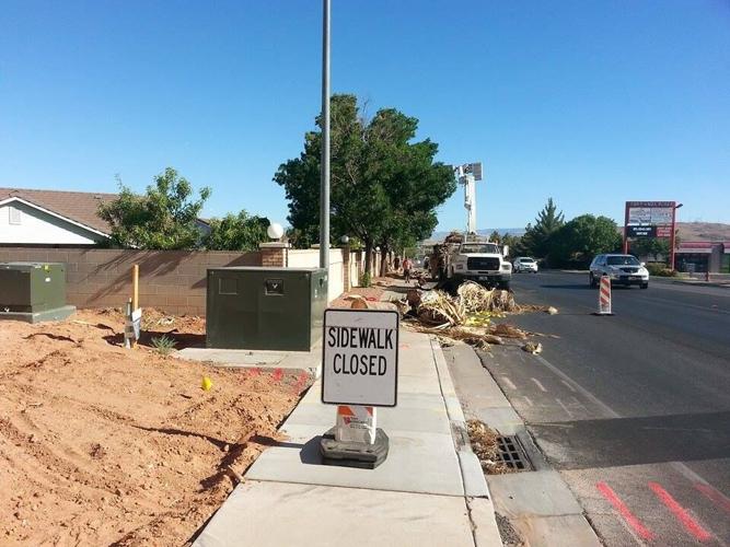 Palm tree falls on man alongside River Road | News | stgeorgeutah.com