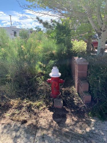 Cedar fire officials working to keep hydrants clear of weeds ...