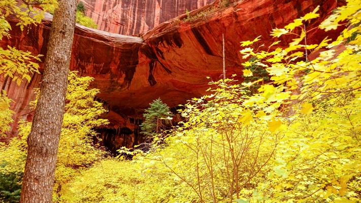 Don't miss this fleeting transformation: Where to see fall colors in ...