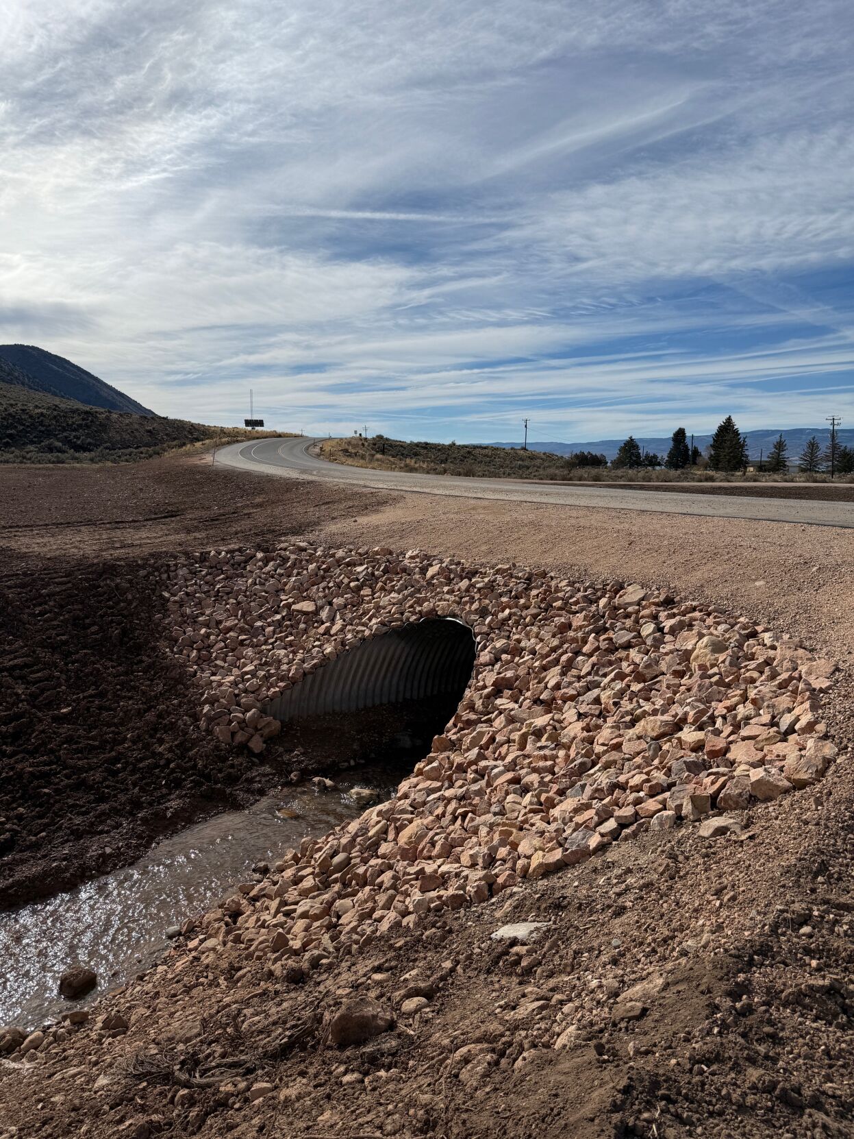 Here’s what Utah is doing to reduce wildlife-vehicle collisions ...