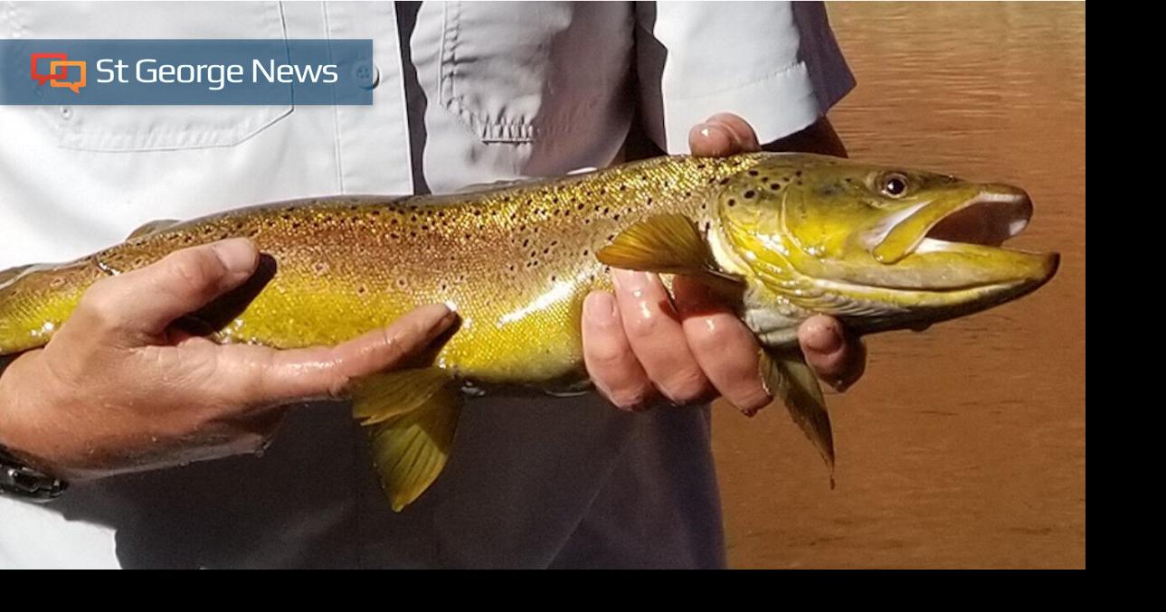 Fishing tournament to be held near Glen Canyon Recreation Area for ...