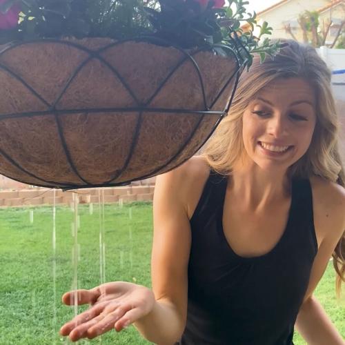 So fresh and so green: Washington City couple goes viral after sharing ...