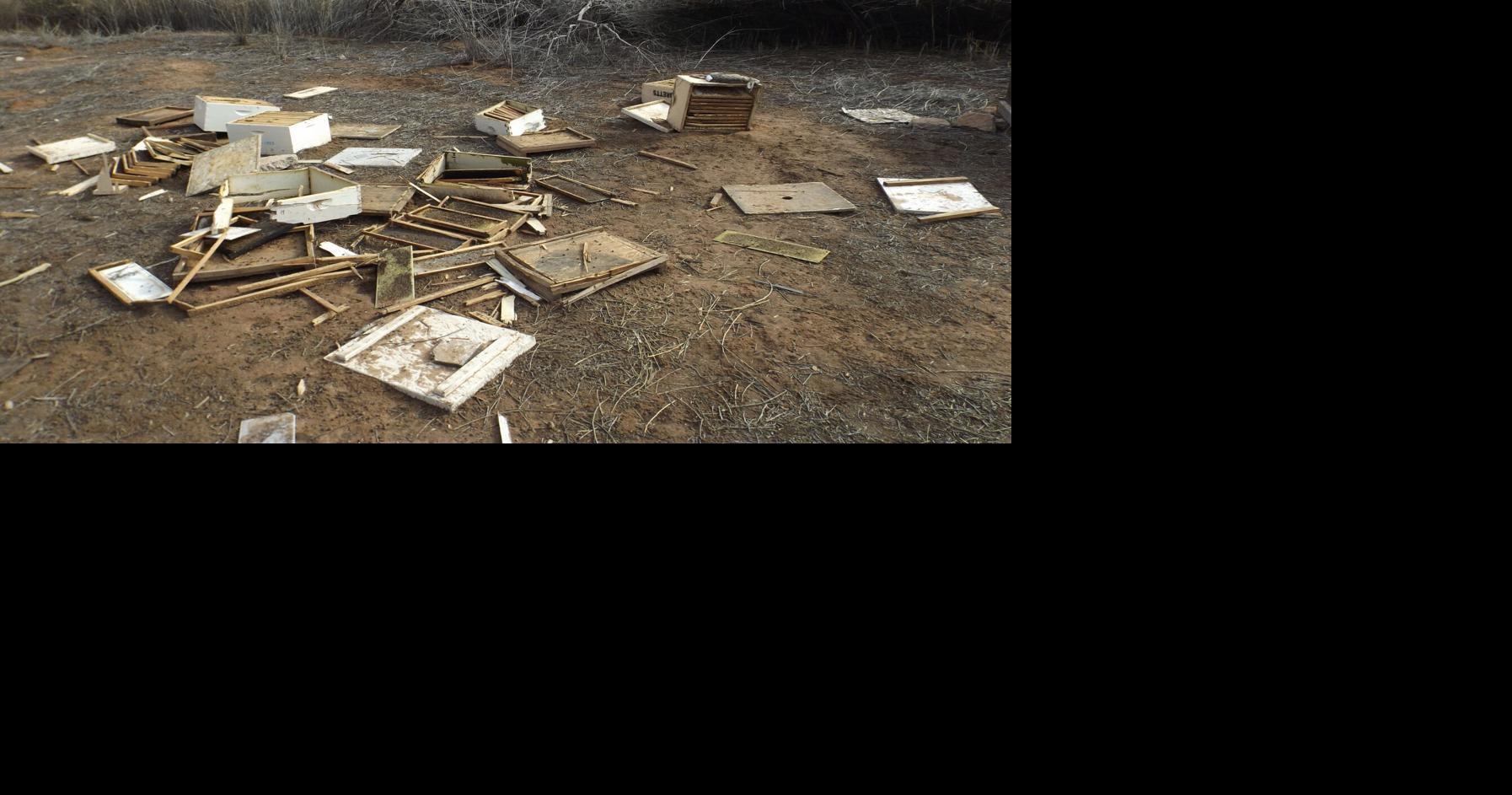 Beekeeper seeks those responsible for causing over $12,000 in lost ...