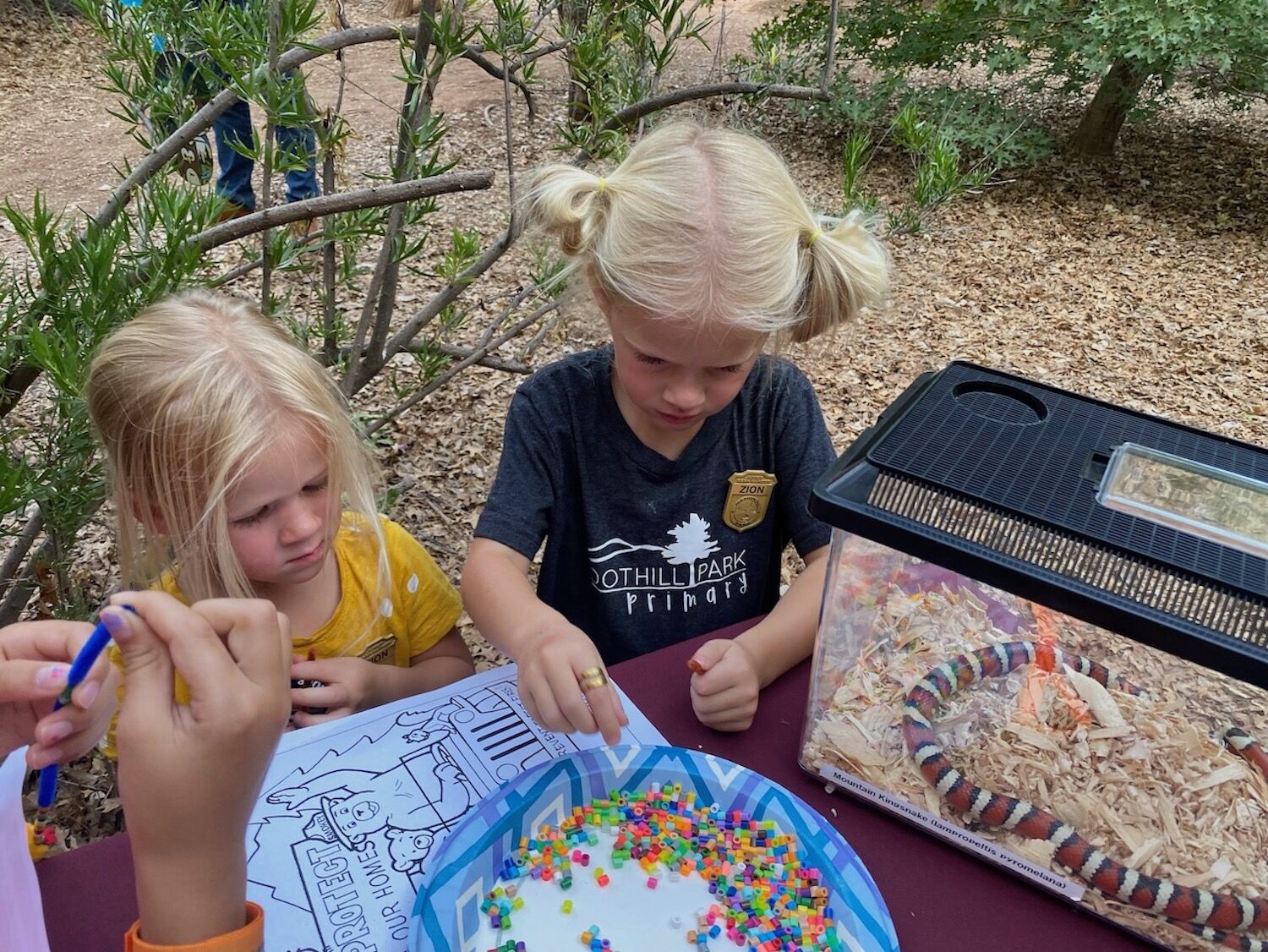 A night with family; connect with nature and experience the beauty of ...