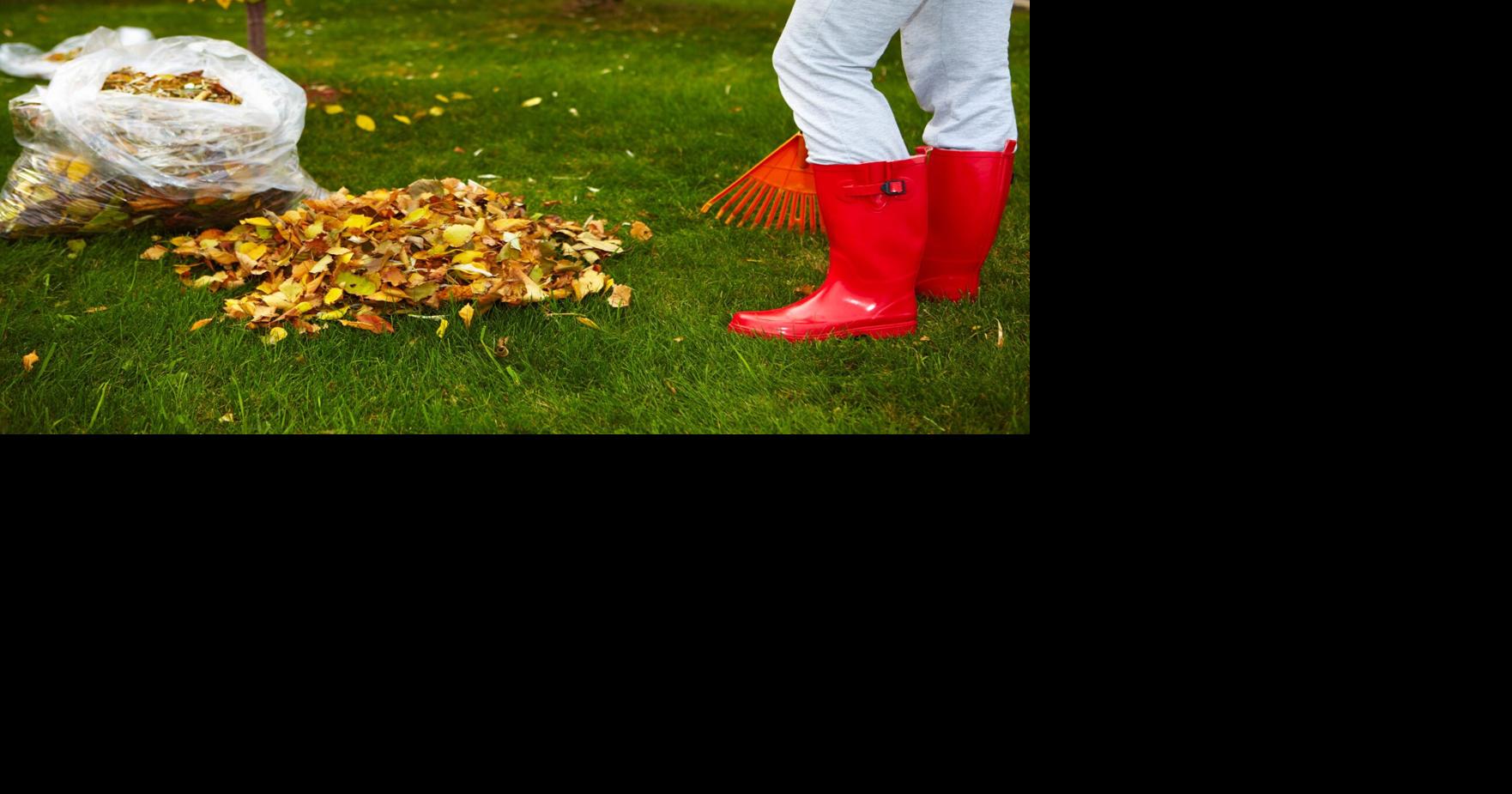 Turn autumn's bounty into natural insulation: The many benefits of ...