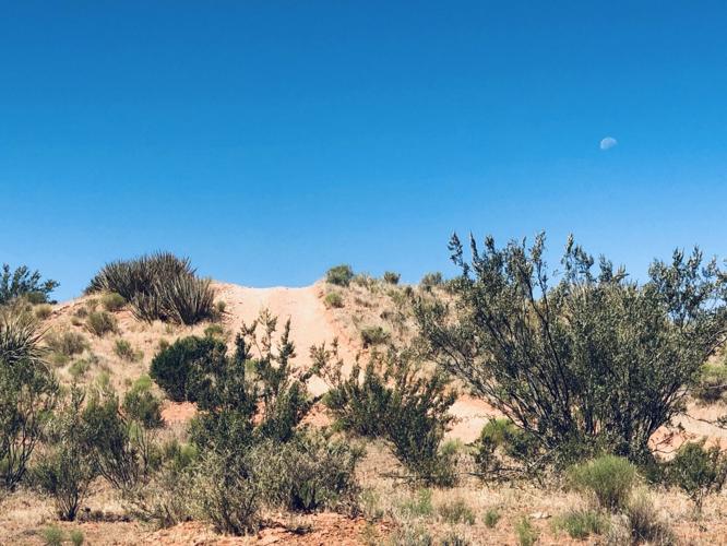 Dixie Arizona Strip Interpretive Association to cease operations due to ...