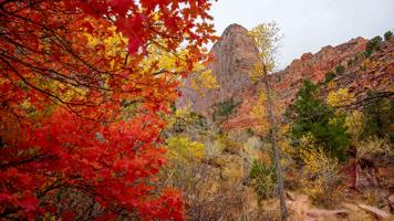 Don't miss this fleeting transformation: Where to see fall colors in ...