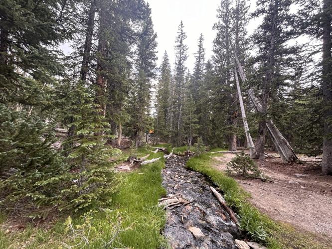 Southwest Weekenders travel series explores Great Basin National Park ...