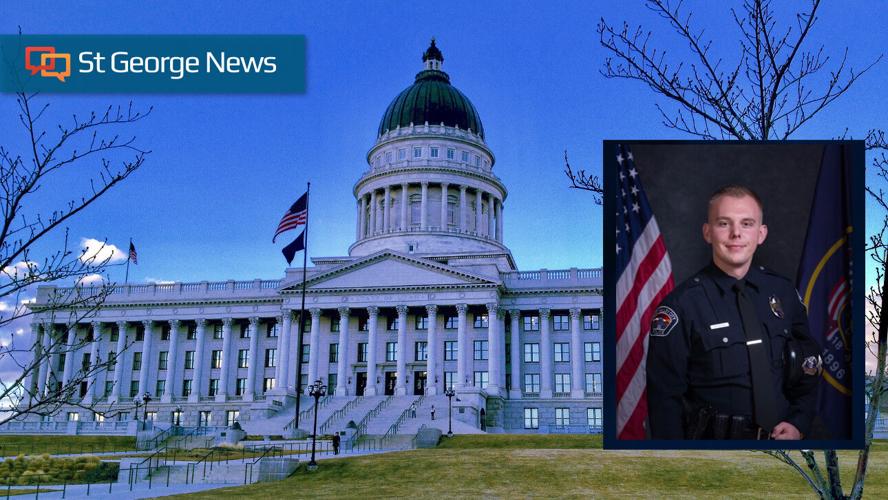 Bill spurred by killing of police officer and co-sponsored by Southern ...