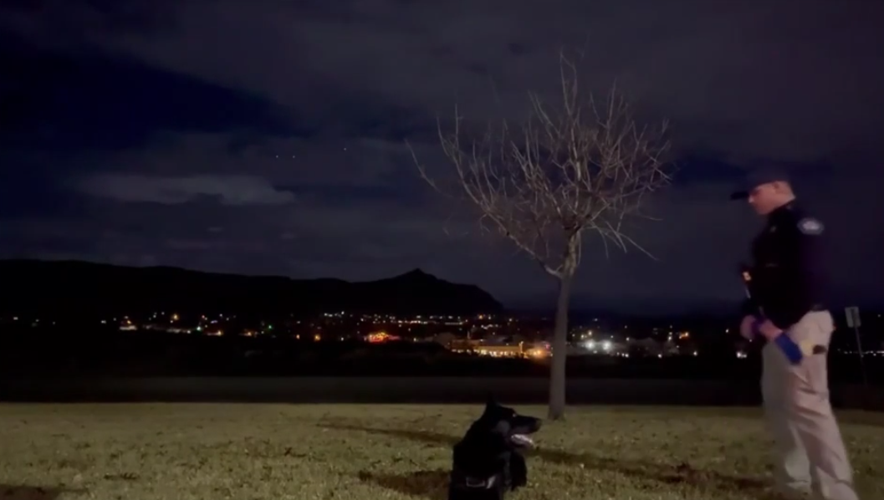 Stabbed Hurricane K-9 nearly ready to get his paws back on patrol | Local News | stgeorgeutah.com