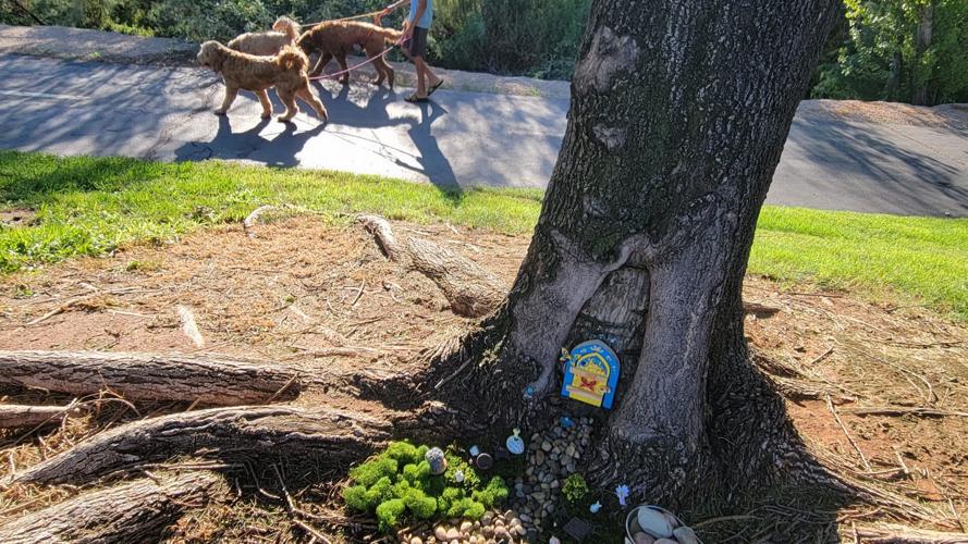 Elf house brings a little magic to St. George park | Life ...