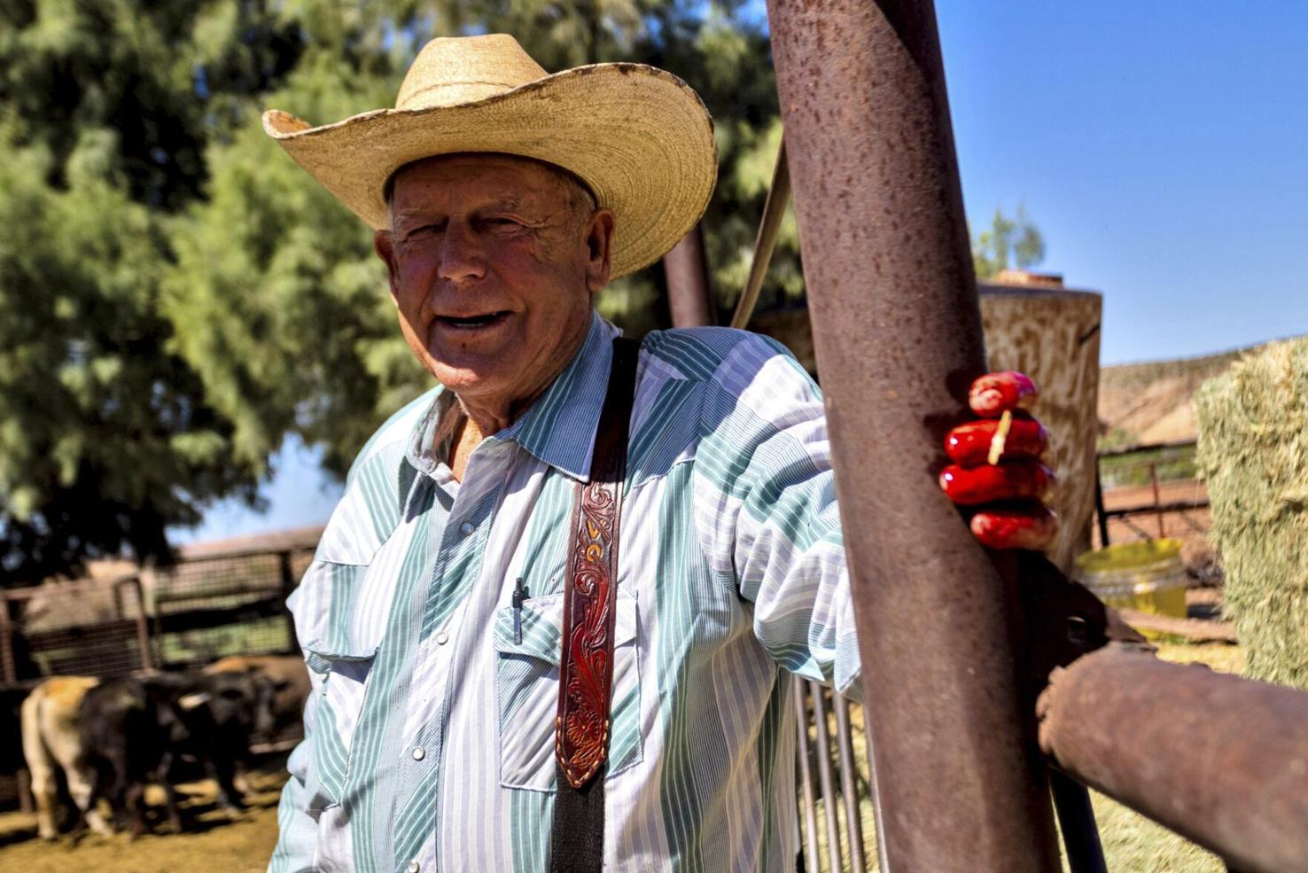 10 years after armed standoff with federal agents, Bundy cattle are ...