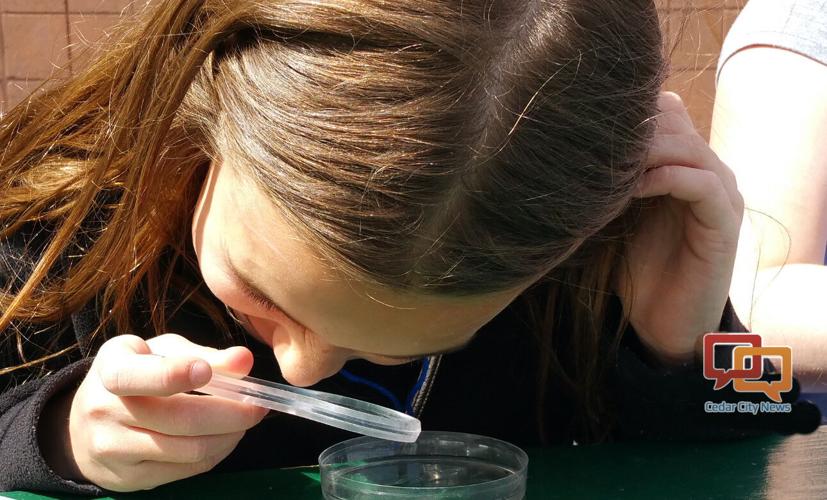 Water fair set to educate children about conservation | Education ...