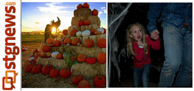 Staheli Family Farms’ autumn attractions draw thousands with its ...