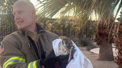 whitehead fire station