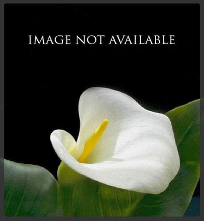 Christopher Gerard Doetsch | Obituaries | stgeorgeutah.com