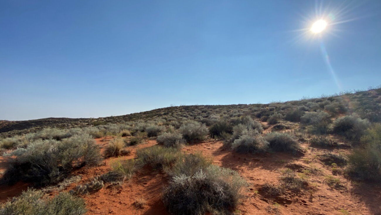 Bureau seeks public feedback on land swap for proposed Warner Valley ...