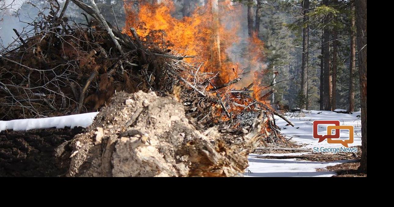 Controlled burning continues near Jacob Lake, North Rim | Local News ...