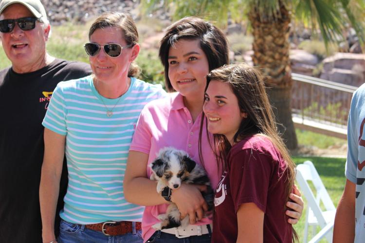 Young St. George cancer survivor gets wish for fur baby granted | Local ...