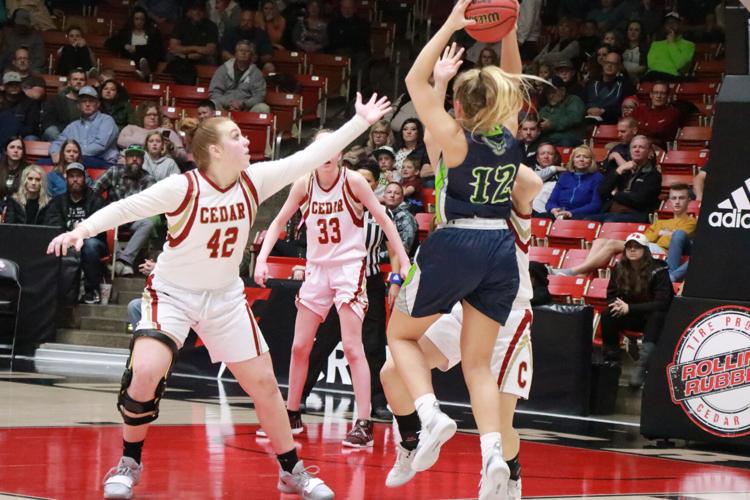 Lady Reds take state! Cedar caps off perfect season with 4A ...