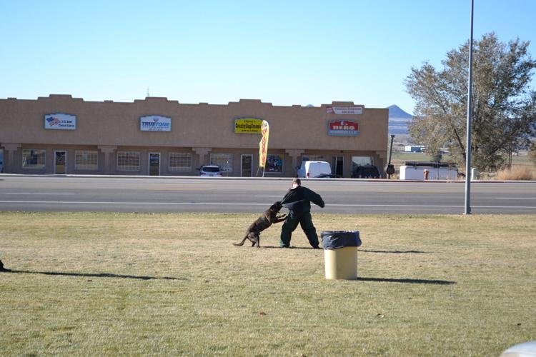 3 K-9s receive bulletproof vests | Local News | stgeorgeutah.com