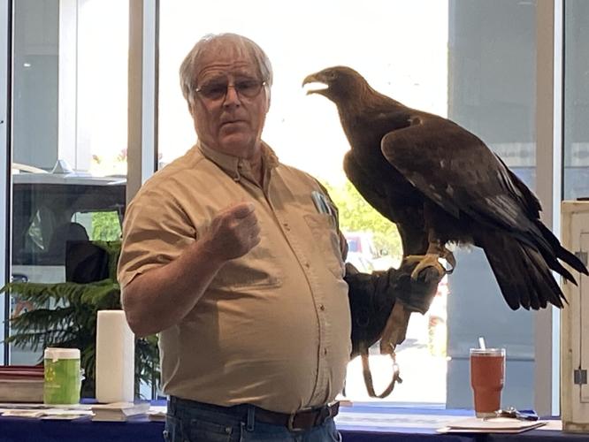 ‘In addition to the seagull’: Utah Bill to designate golden eagle as ...