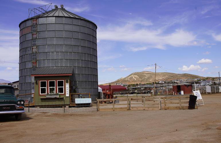 ‘More than just dirt’: Southern Utah farmers discuss modern industry ...
