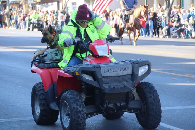 Video, photo gallery: Ewe had to be there at Cedar City’s sheep parade ...