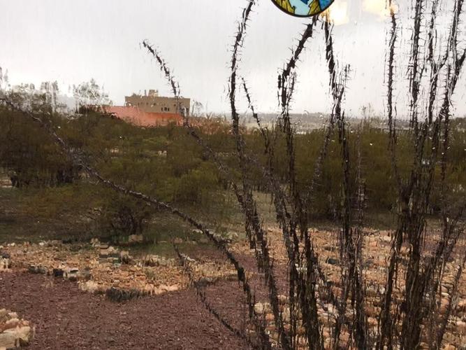 UPDATED: Overnight storm causes road and school closures, power outages ...