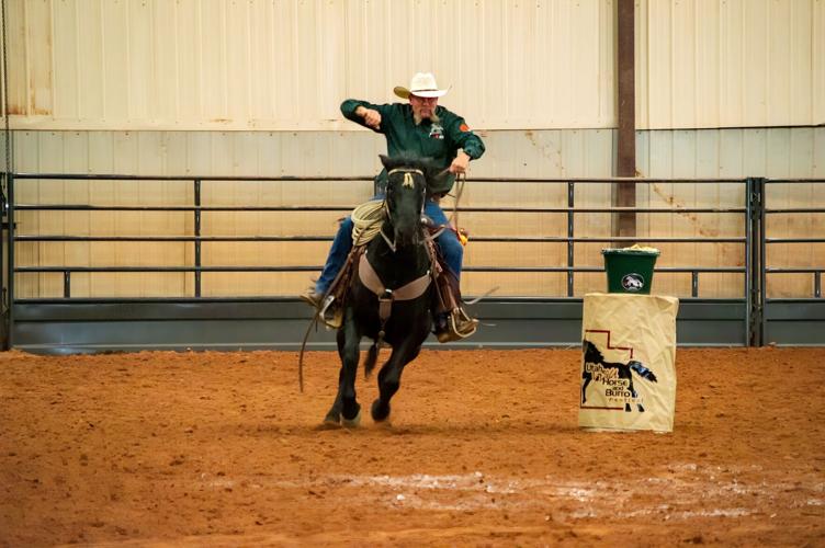 Give a good home to a wild horse or burro at the Bureau of Land ...