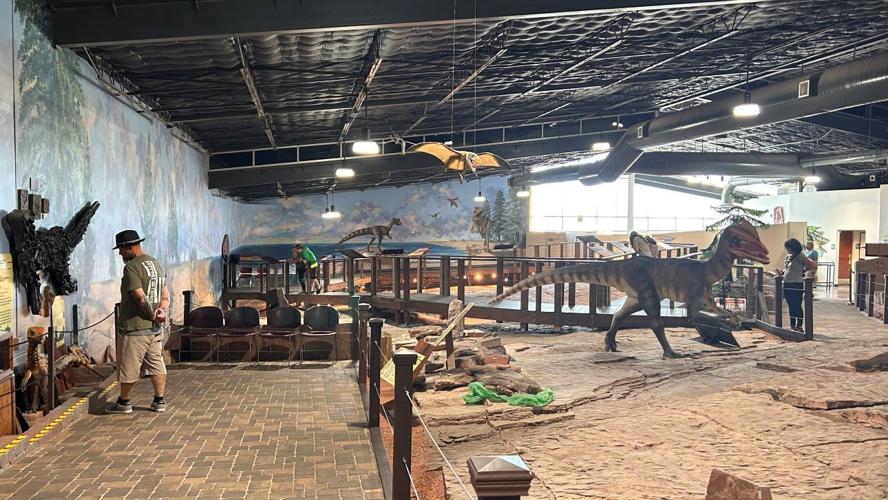 Prehistoric fish fossil unearthed at Zion National Park | Local News ...