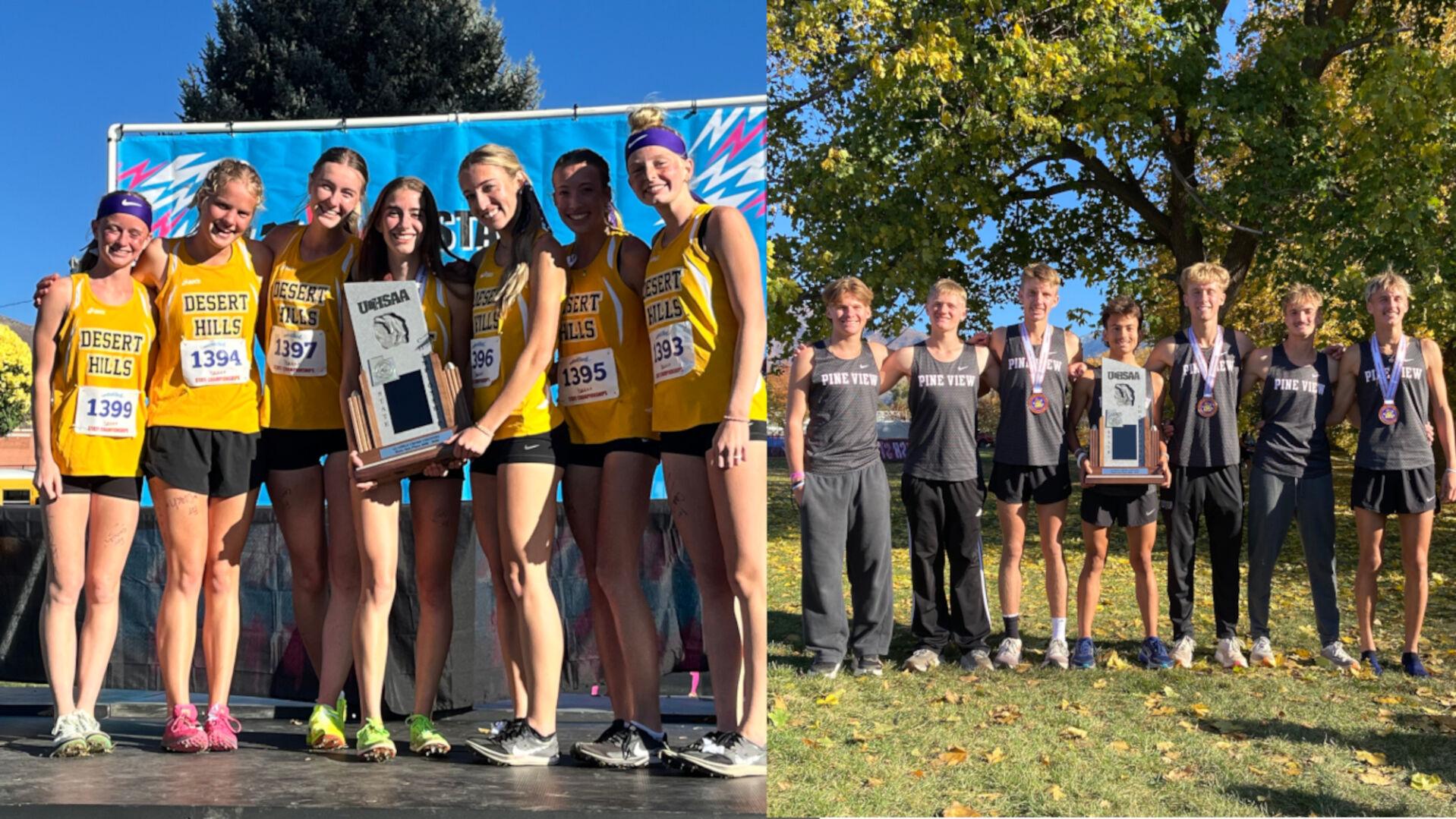 High school cross-country: Desert Hills girls, Pine View boys take 2nd ...