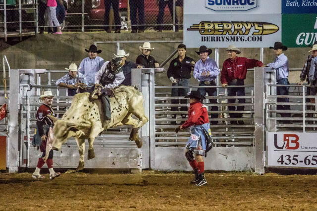Round ‘em up! Bull-riding, calf-roping, mutton-bustin’ rodeo action ...