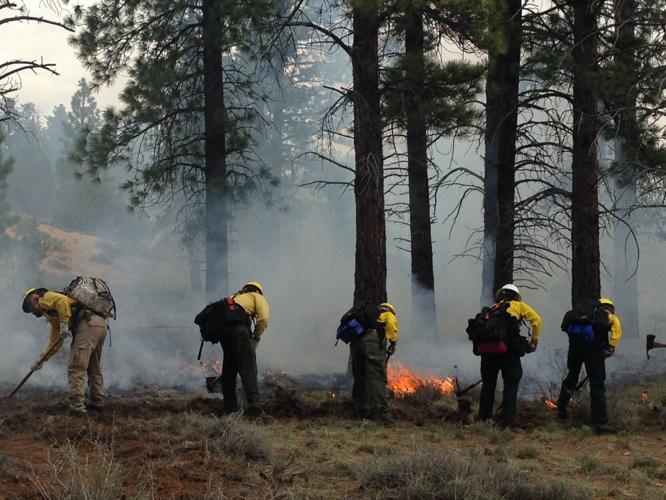 ‘Women in Wildland Fire’ program sparks careers, how to apply | Local ...