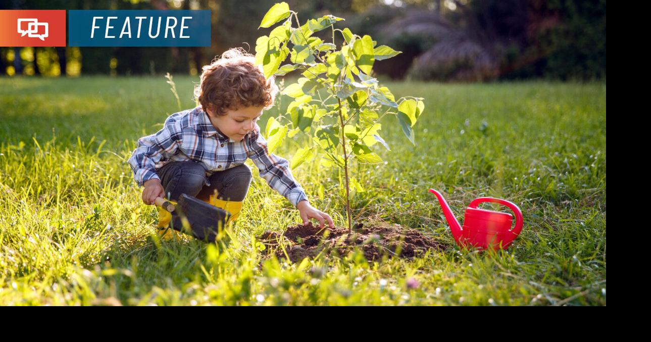Celebrate this Arbor Day by planting new trees, nurturing established ...