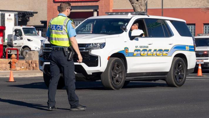 Man accused of kicking puppy arrested after witnesses call 911, St ...