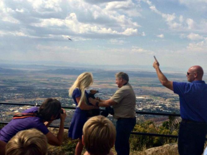Golden eagle released carrying 7,000 prayers for 1st responders | Local ...