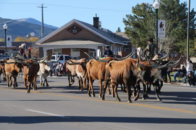 Video, photo gallery: Cedar City’s annual sheep parade | Events ...
